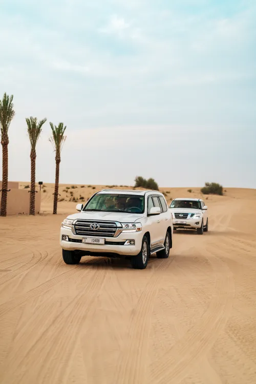 Evening Desert Safari and Dinner Show Experience | Noble Adventure Dubai