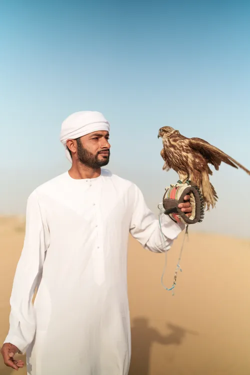 Evening Desert Safari and Dinner Show Experience | Noble Adventure Dubai